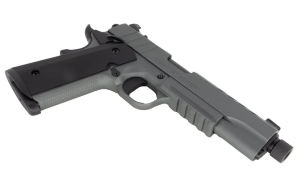 Tisas Night Stalker SF Gray .45 ACP 5" Barrel 8-Rounds - $498.99 ($19. ...